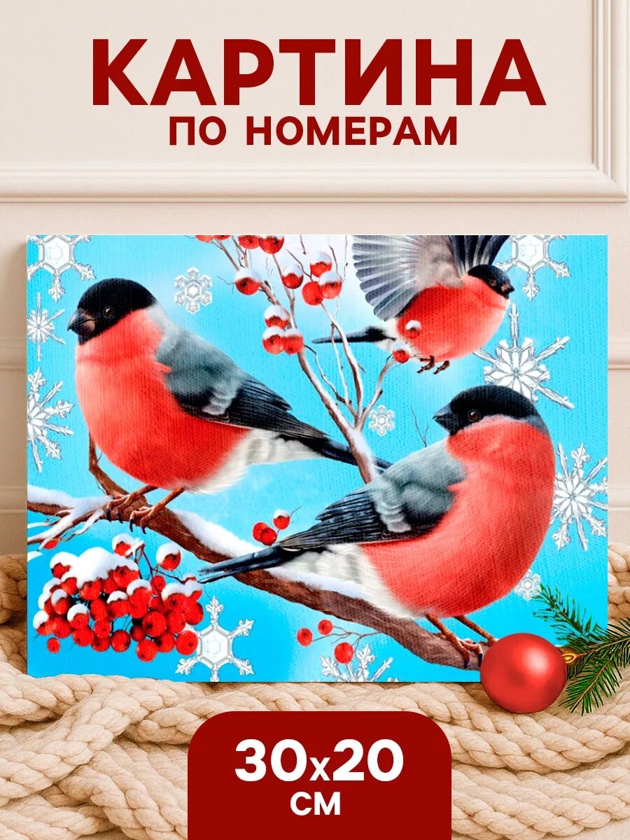 Картина по номерам Школа талантов «Снегири на ветке» 20х30 см, на холсте с подрамником