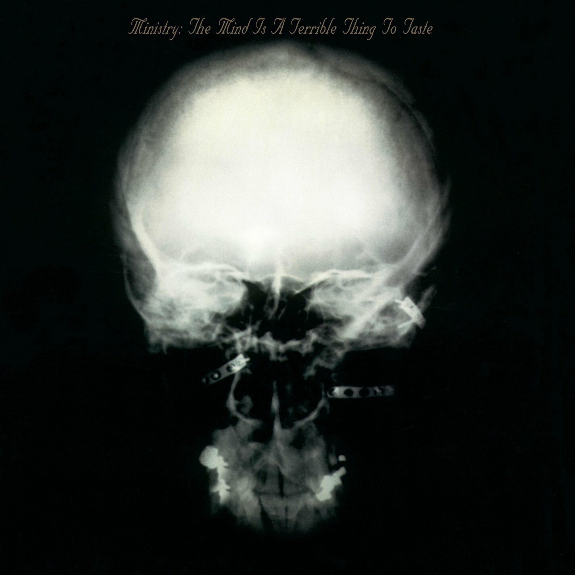 Виниловая пластинка Ministry - The Mind Is A Terrible Thing To Taste (Expanded Ed (1 LP)