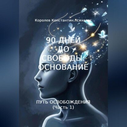 90 дней до свободы: основание путь освобождения (Часть 1) [Аудиокнига]
