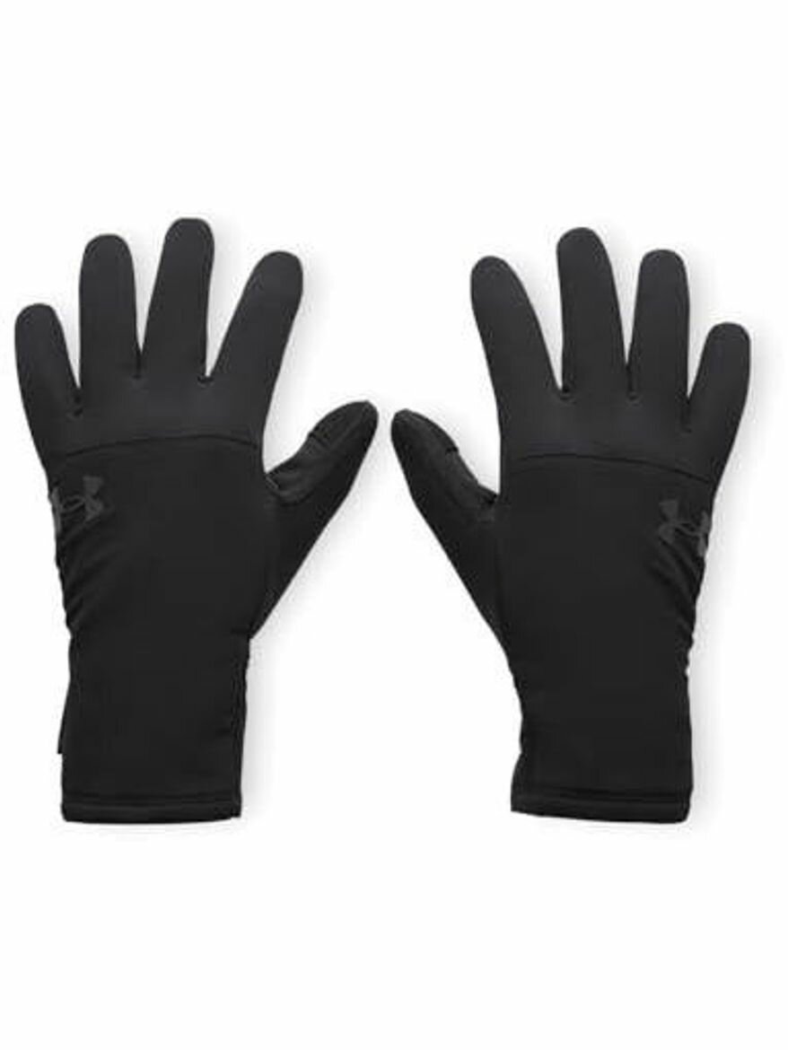Перчатки Under Armour M's Storm Fleece Gloves для мужчин