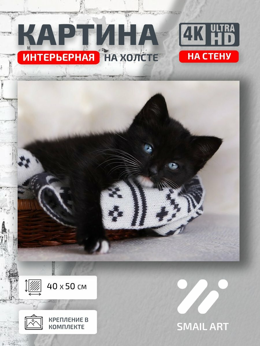 Картина на холсте интерьерная 40 на 50 на стену Одеяло Animal для кабинета animal style