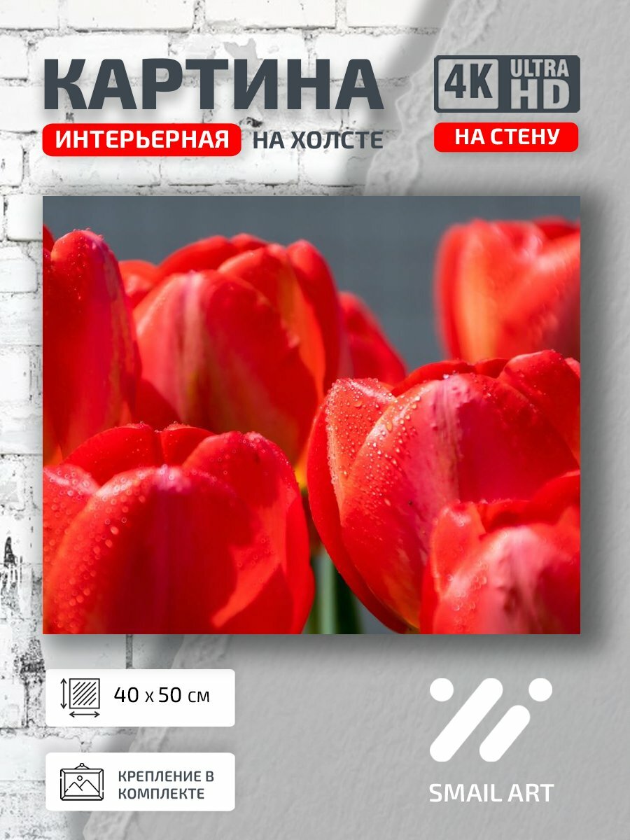 Картина на холсте интерьерная 40 на 50 на стену Бутоны Mood для офиса атмосфера интерьер