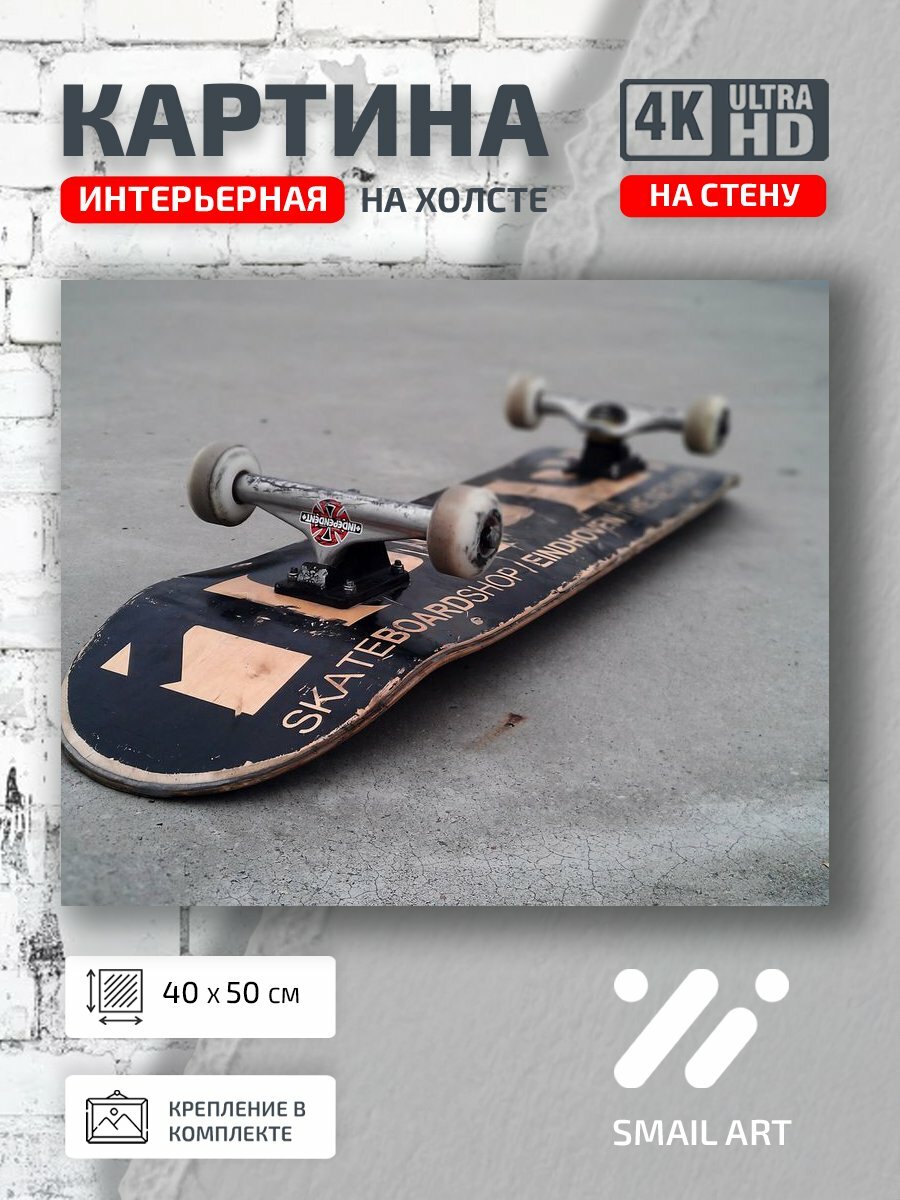 Картина на холсте интерьерная 40 на 50 на стену Скейт Mood для спальни атмосфера интерьер