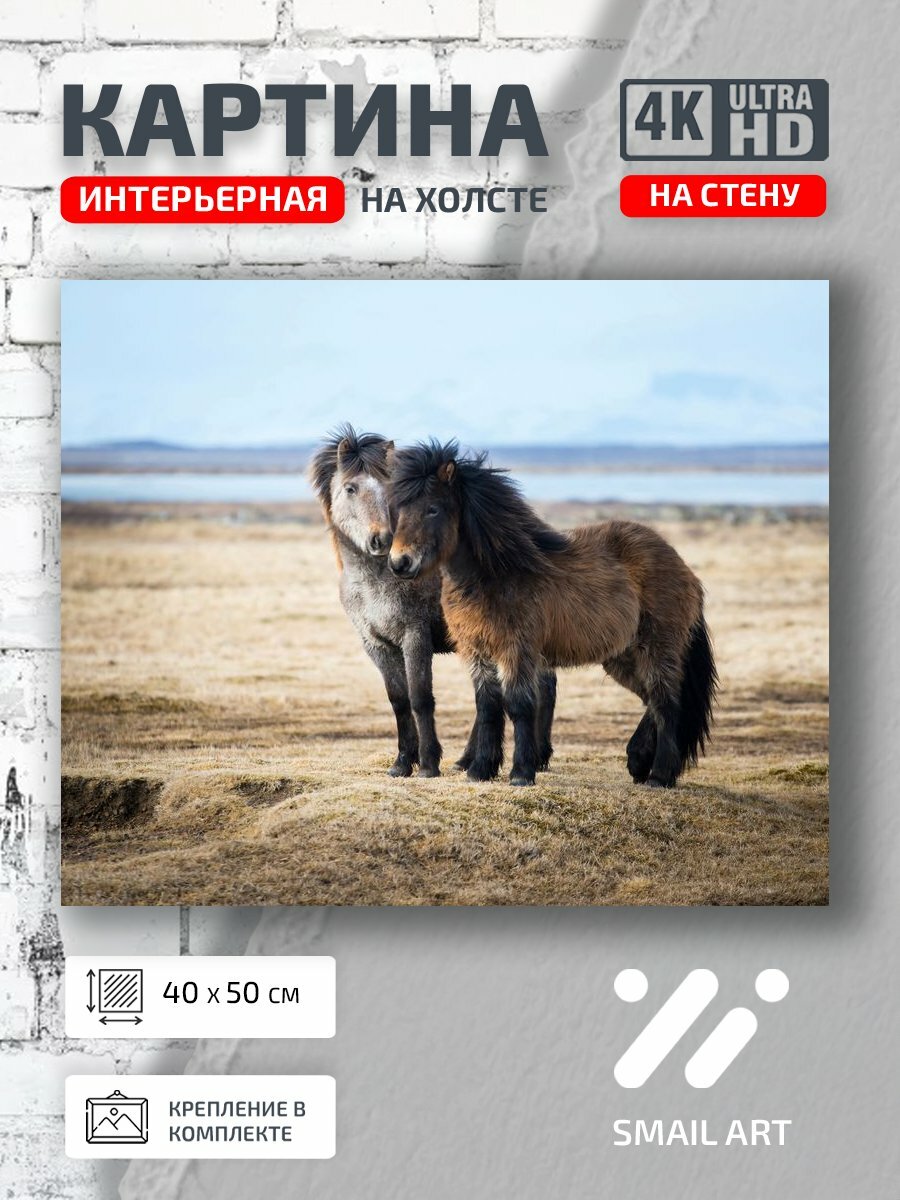 Картина на холсте интерьерная 40 на 50 на стену Степь Mood для студии атмосфера интерьер