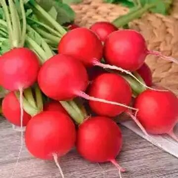 Коллекционные семена редиса Красная шапочка