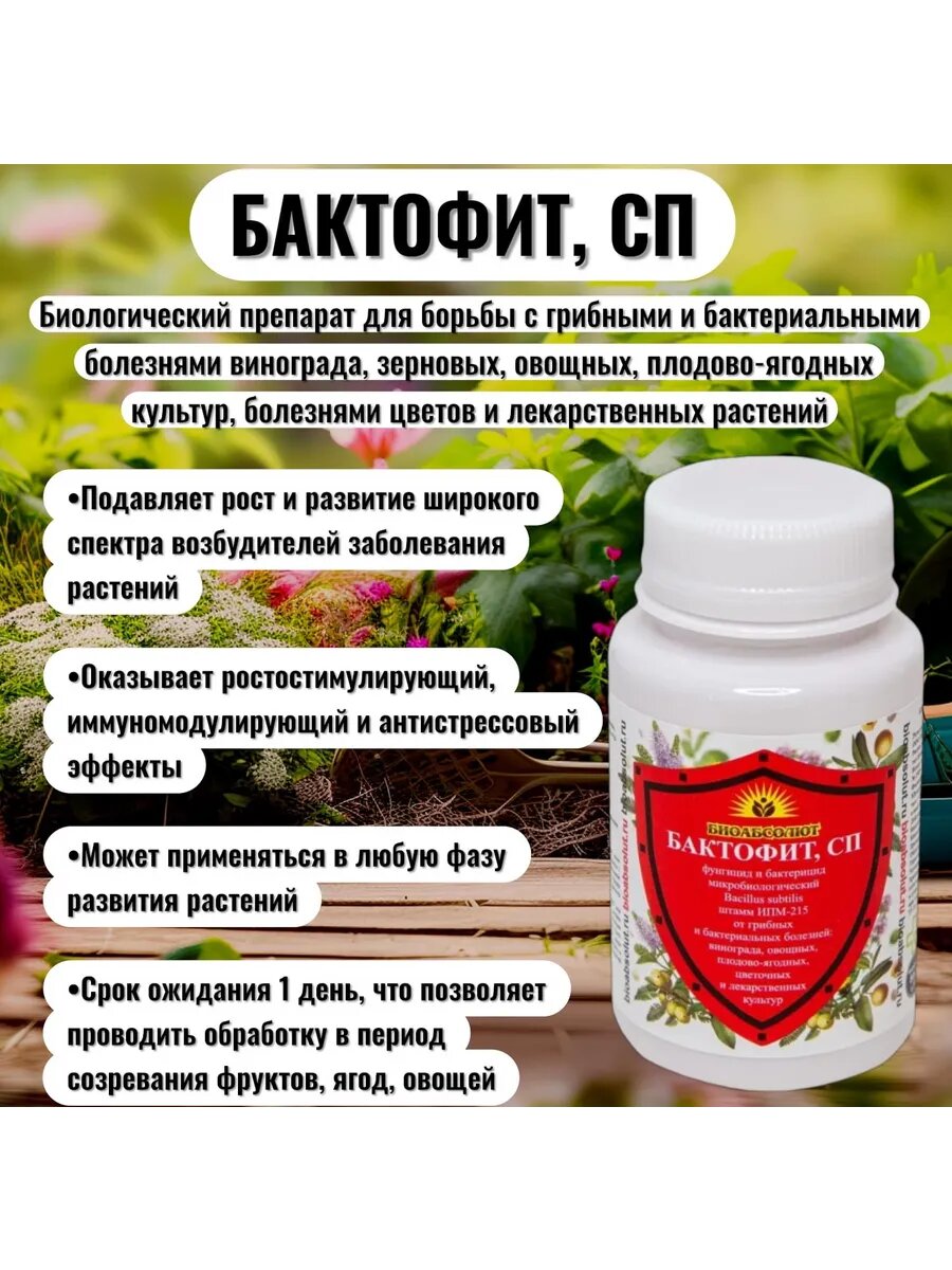 Бактофит фунгицид,80гр