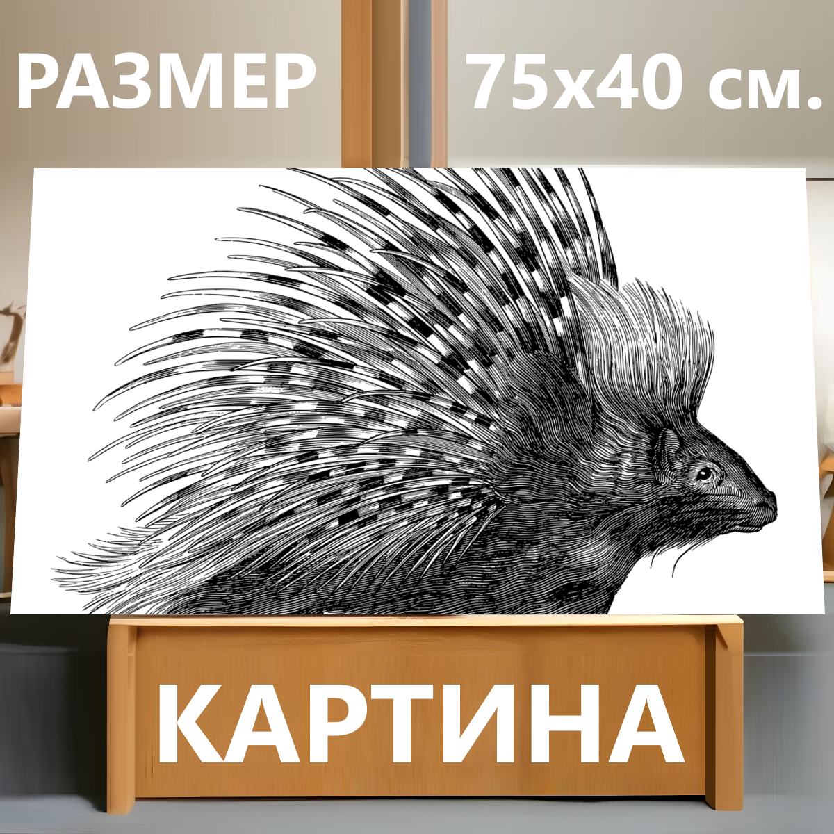 Картина на холсте "Винтажная иллюстрация дикобраза Дикобраз старинные иллюстрации клипарт рисунок графический файл png стикер вырезать." на подрамнике 75х40 см. для интерьера