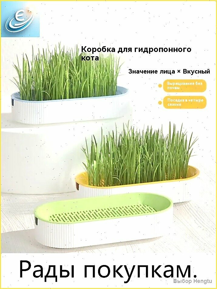 Набор для выращивания травы, для животных, лоток + крышка, 5 пакетиков семян, зеленый