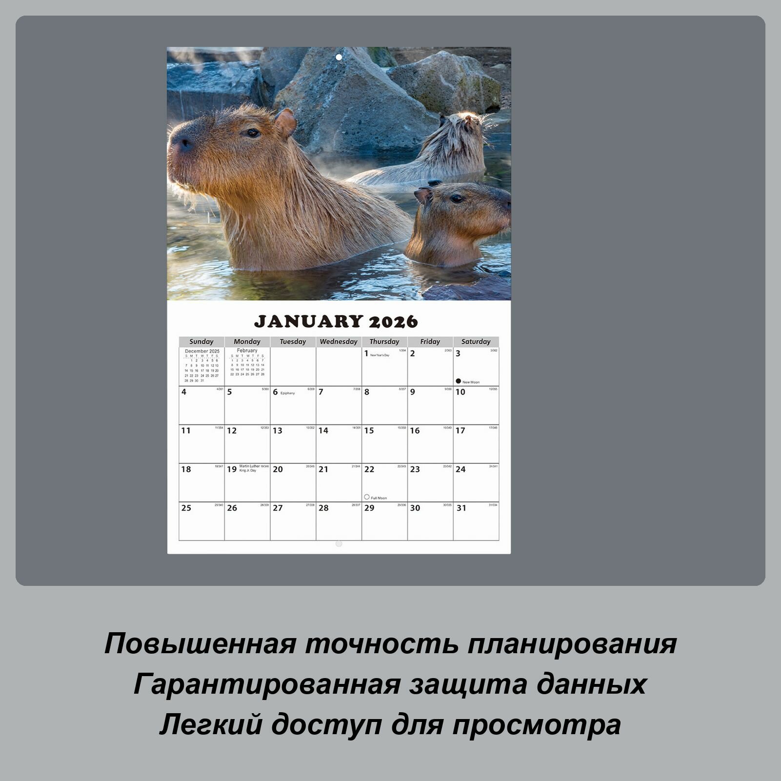 Календарь 2026 капибара