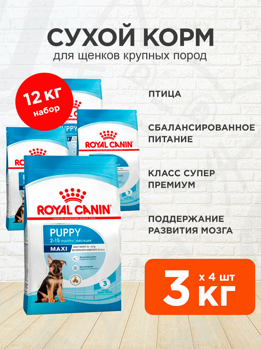 Корм сухой Royal Canin Maxi Puppy для щенков крупных пород в возрасте до 15 месяцев, 3 кг х 4 шт