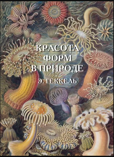 Красота форм в природе. Э. Геккель (твердый переплет/Великие полотна)