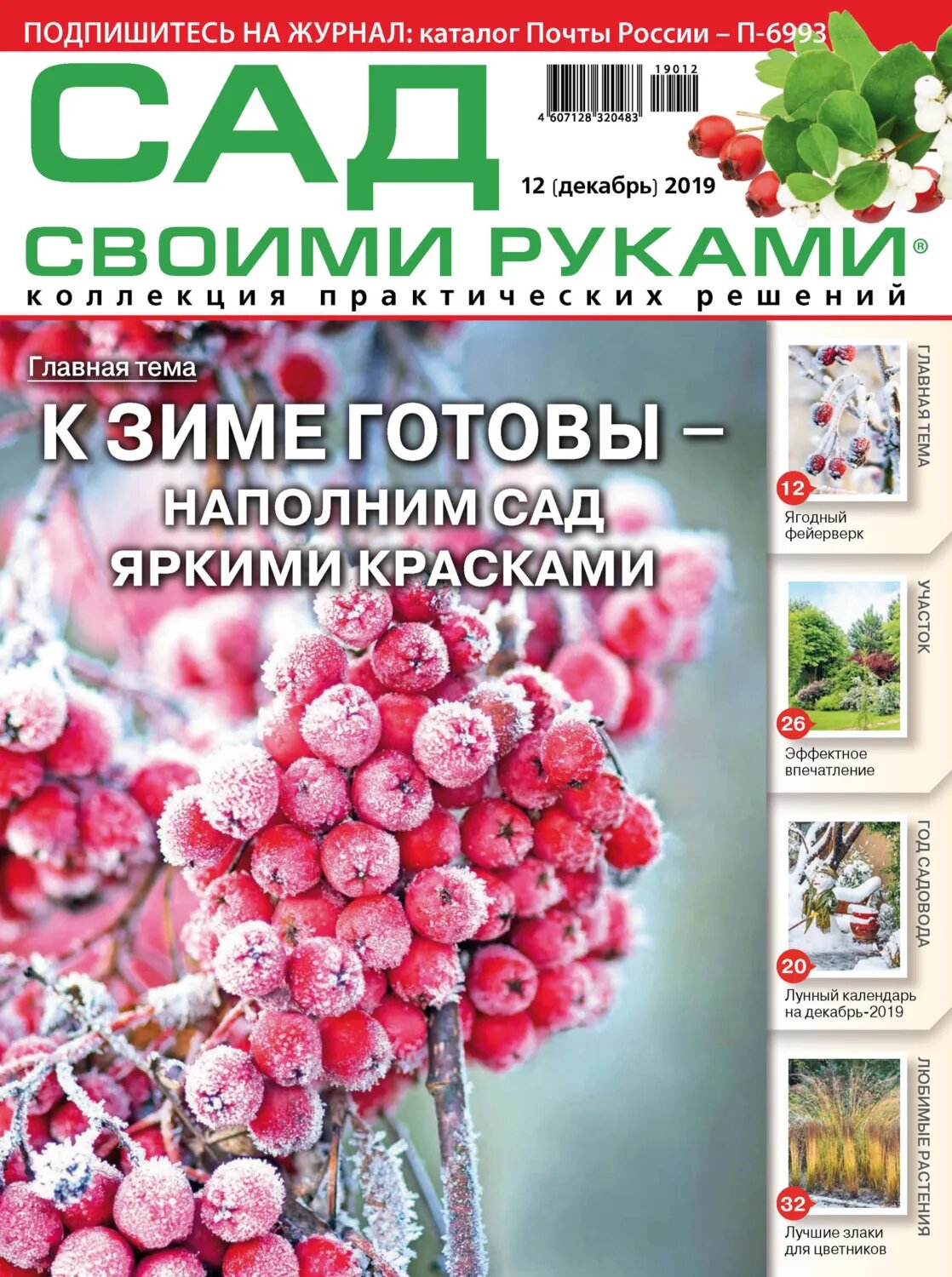 Сад своими руками №12/2019 [Цифровая книга]
