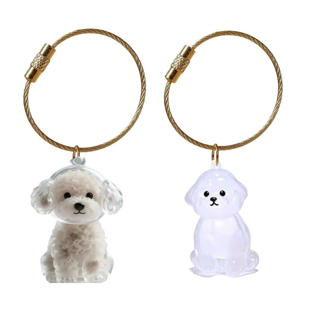 Миниатюрная коробка-брелок для хранения шерсти питомцев, комплект из 2шт C