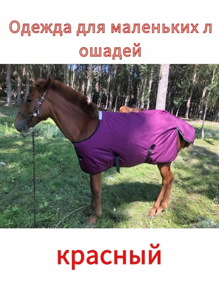 Одежда для маленьких лошадей, позволяющая сохранять тепло; подходит для маленьких лошадей длиной 115 см верхом