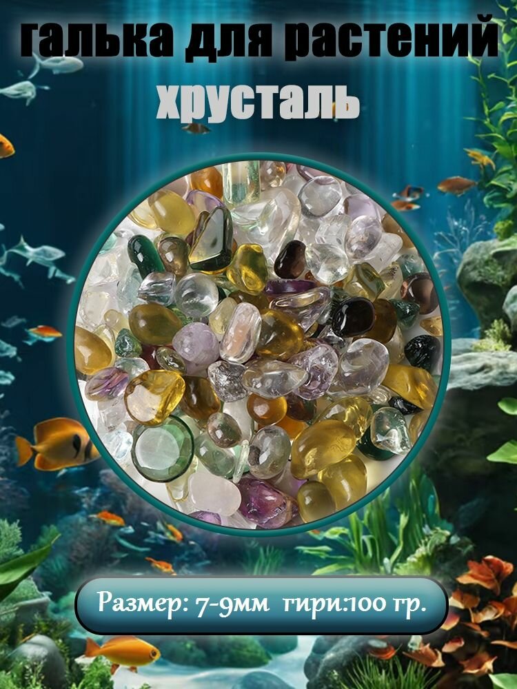 Грунт для аквариума и растений Хрусталь, с галькой Каспийского моря 7-9 мм, 100 г идеален для суккулентов, кактусов и декоративного оформления