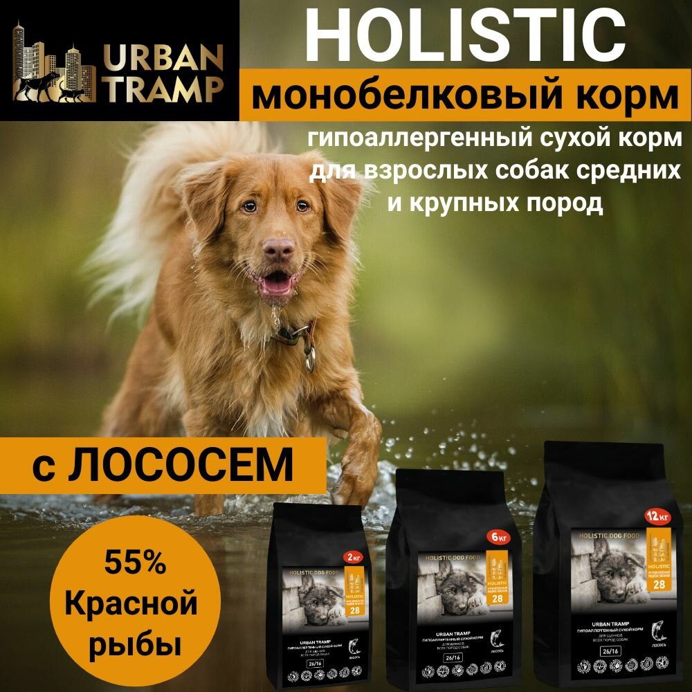 URBAN TRAMP Полнорационный гипоаллергенный сухой корм HOLISTIC класса с лососем для взрослых собак средних и крупных пород.