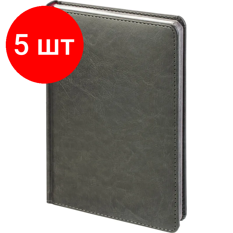 Комплект 5 штук, Ежедневник недатированный А5+ SIDNEY NEBRASKA серый, сереб. обр,136л 3-128/22