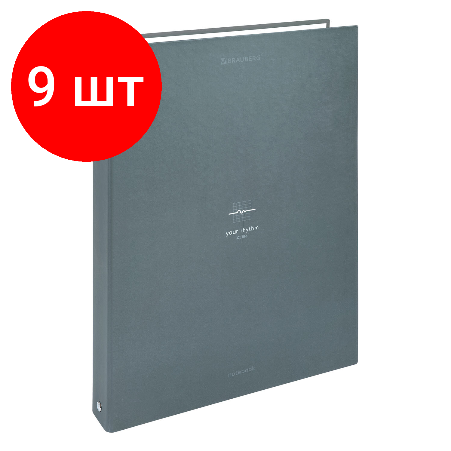 Комплект 9 шт, Тетрадь на кольцах большая А4, 215х305 мм, 100 л, твердый картон, клетка, BRAUBERG, "Rhythm", 405407