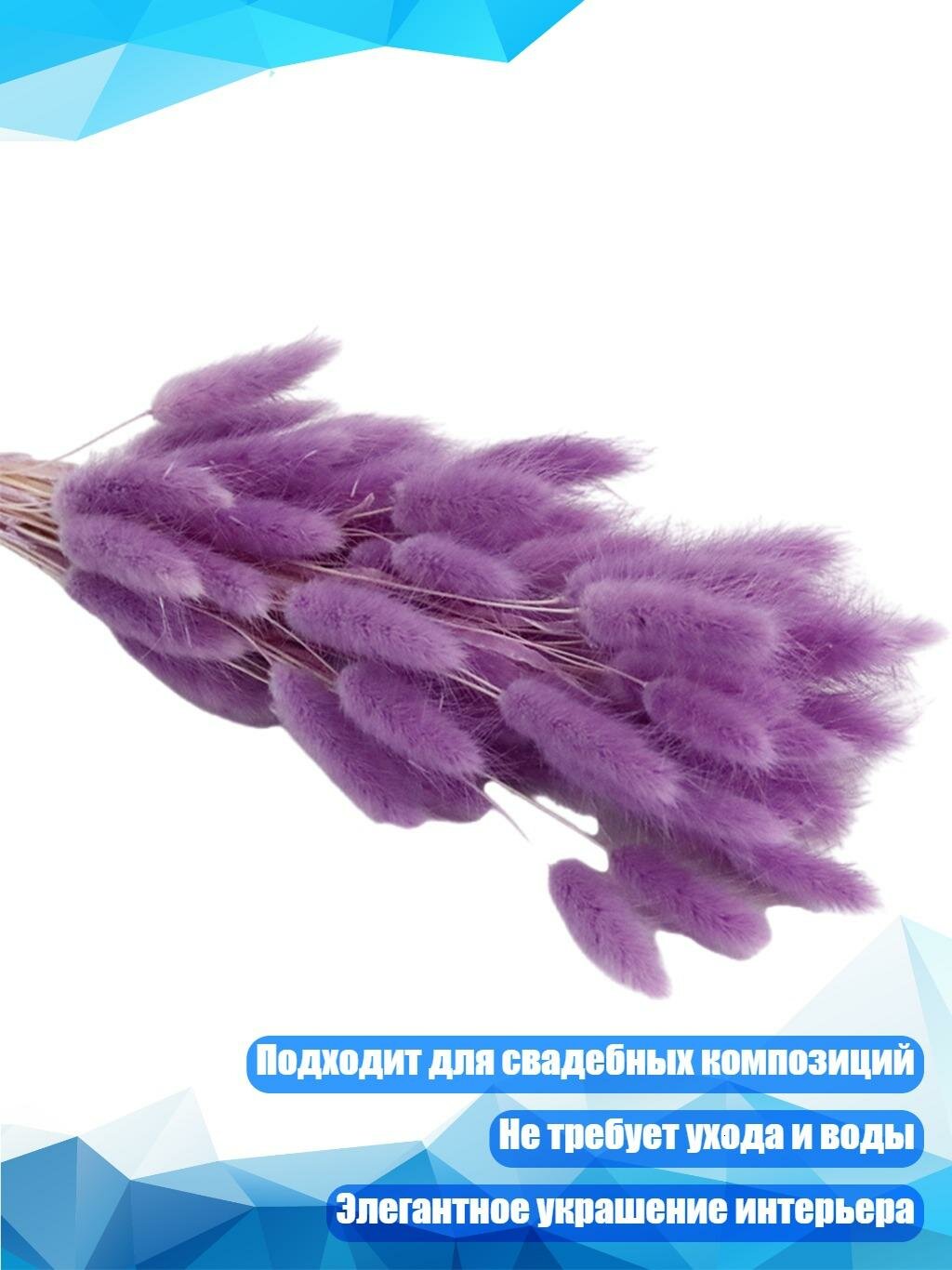 55pcs Natural Dry Pampasgrass 17,7 -дюймовый сушеные кролики цветок хвоста для домашних свадебных композиций, - Сплошной цвет 28