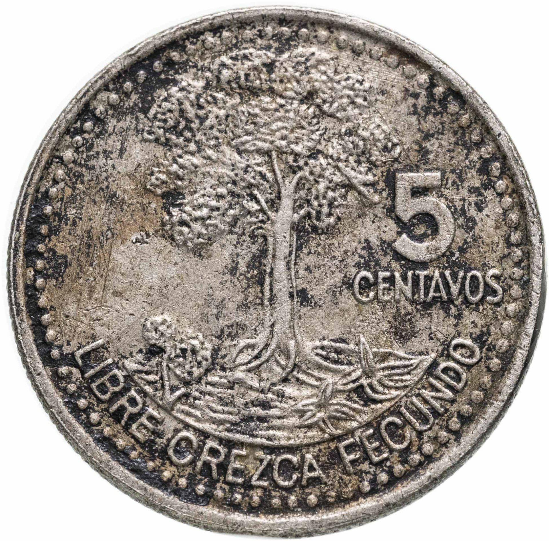 Гватемала 5 сентаво centavos 2008, Мельхиор медь-никель, в сохранности VF