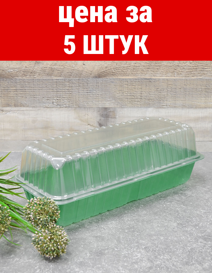Комплект 5 шт, Парник для рассады 2 места, 39*16*6.5см (В2*570, Д2*570)