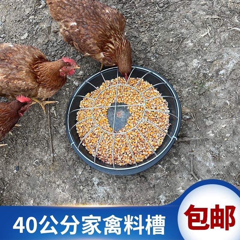 Кормушка для кур, кормушка для поросят, кормушка для отлучения поросят, кормушка для кур, уток и гусей, новая