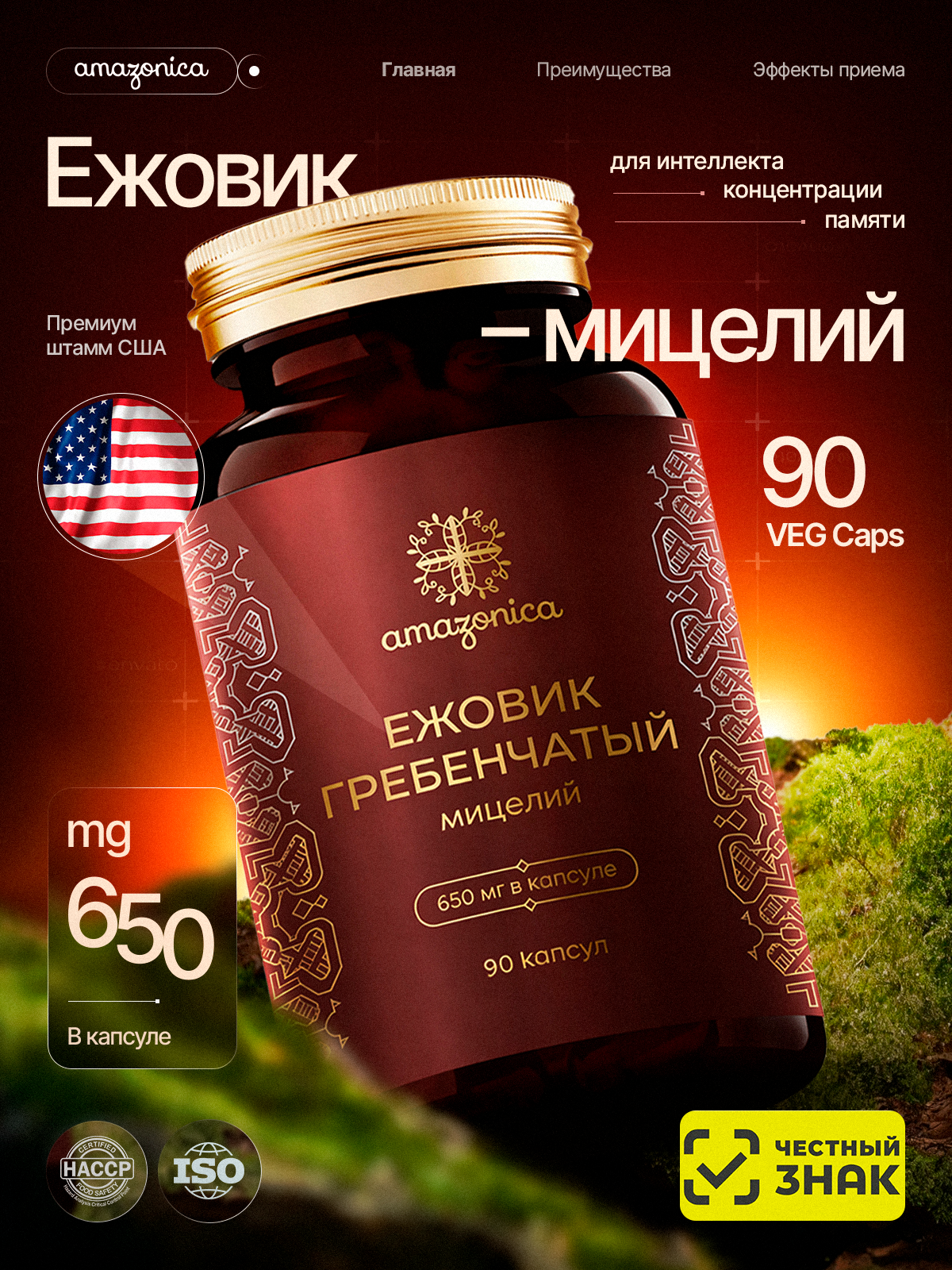 Ежовик гребенчатый Lions Mane Ноотроп, для работы мозга, для памяти