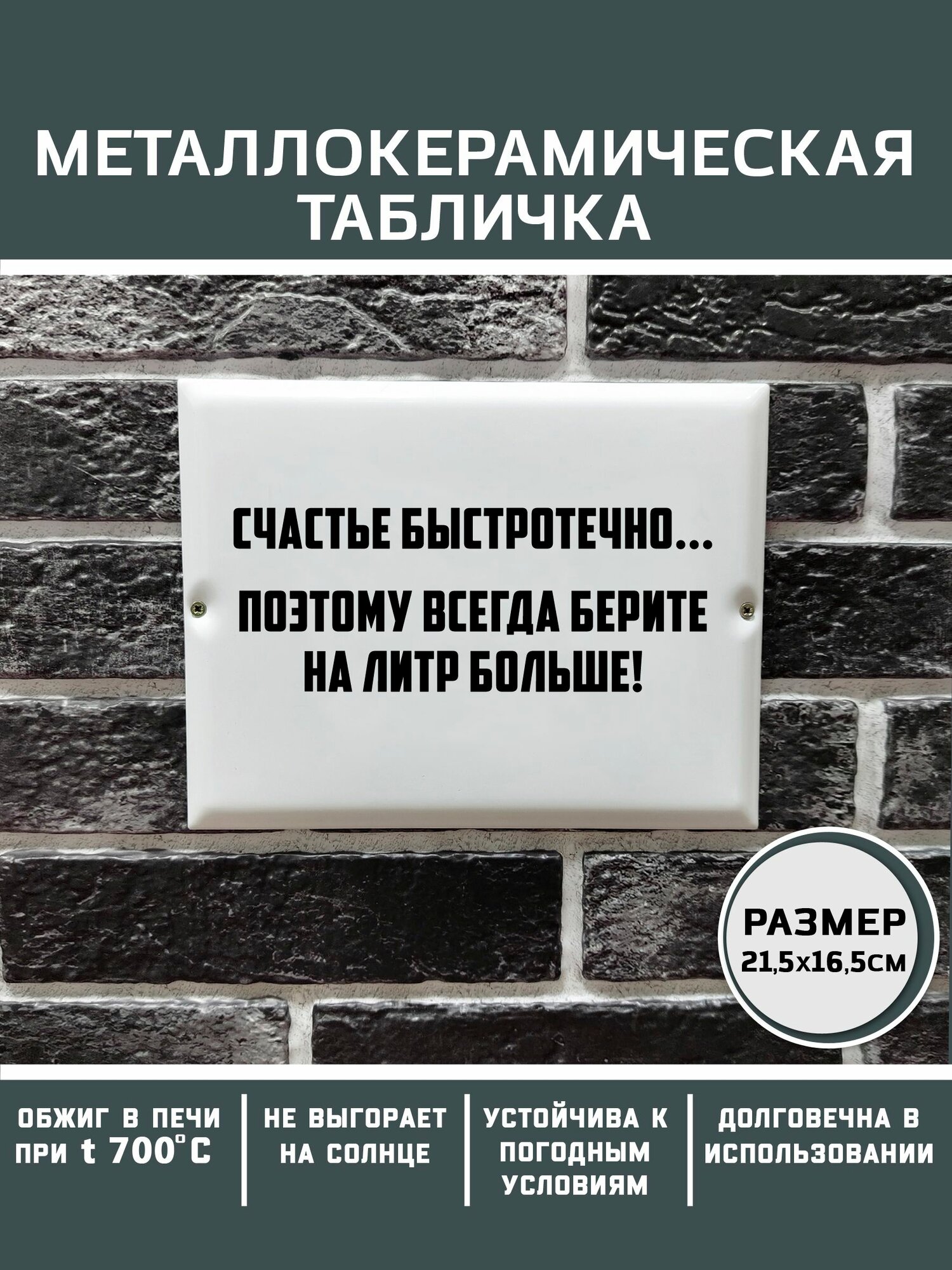 Металлическая табличка в стиле Лофт, СССР Счастье быстротечно