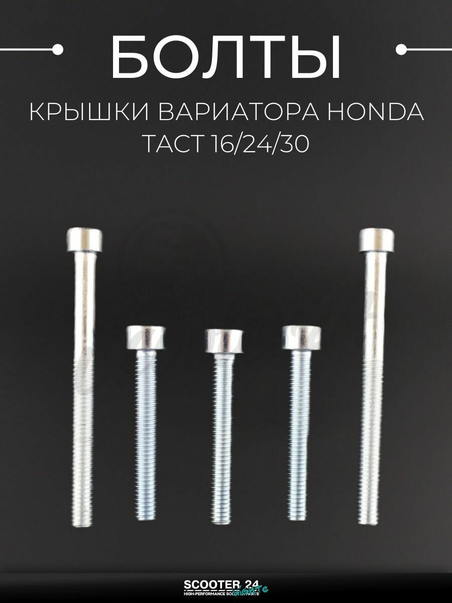 Болты крышки вариатора на мотоцикл и скутер Honda TACT 16 / 24 / 30 / Хонда Такт Джорно (шестигранный шлиц, 5шт) AS "BEEZMOTO"