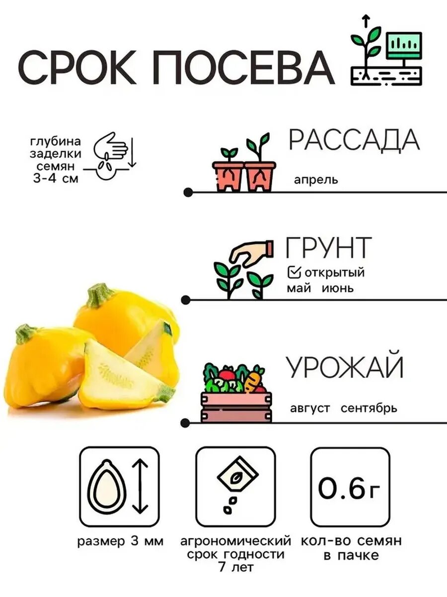 Урожайные семена патиссонов для вашего огорода