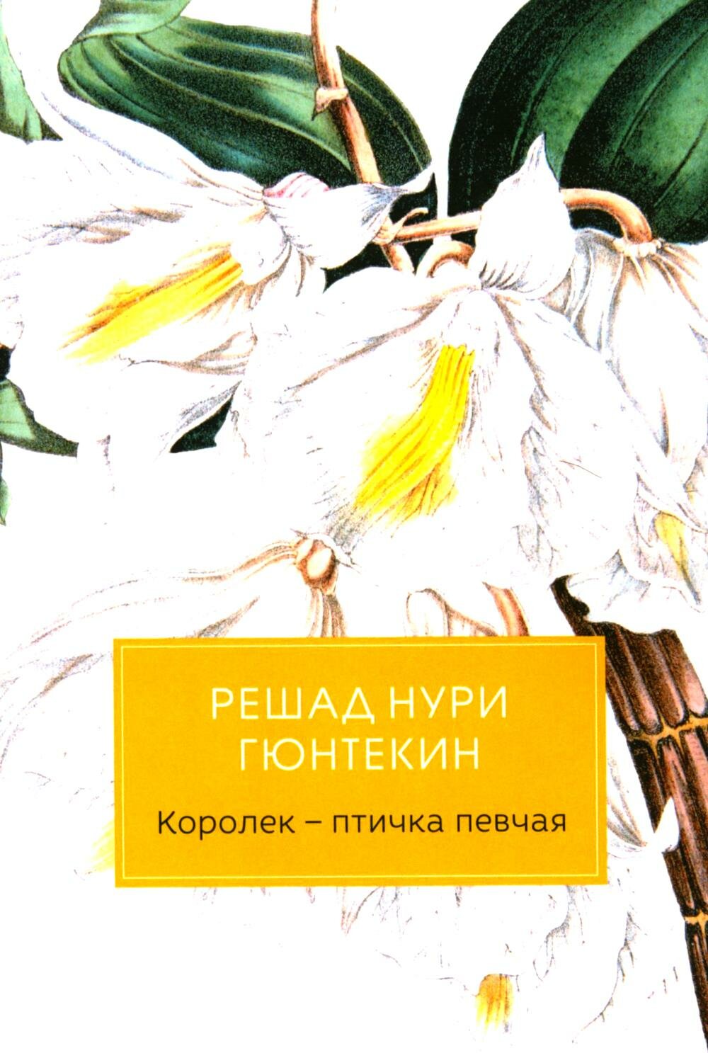 Книга Черная речка "Королек - птичка певчая", обложка, Гюнтекин Решат Нури, 2025 г