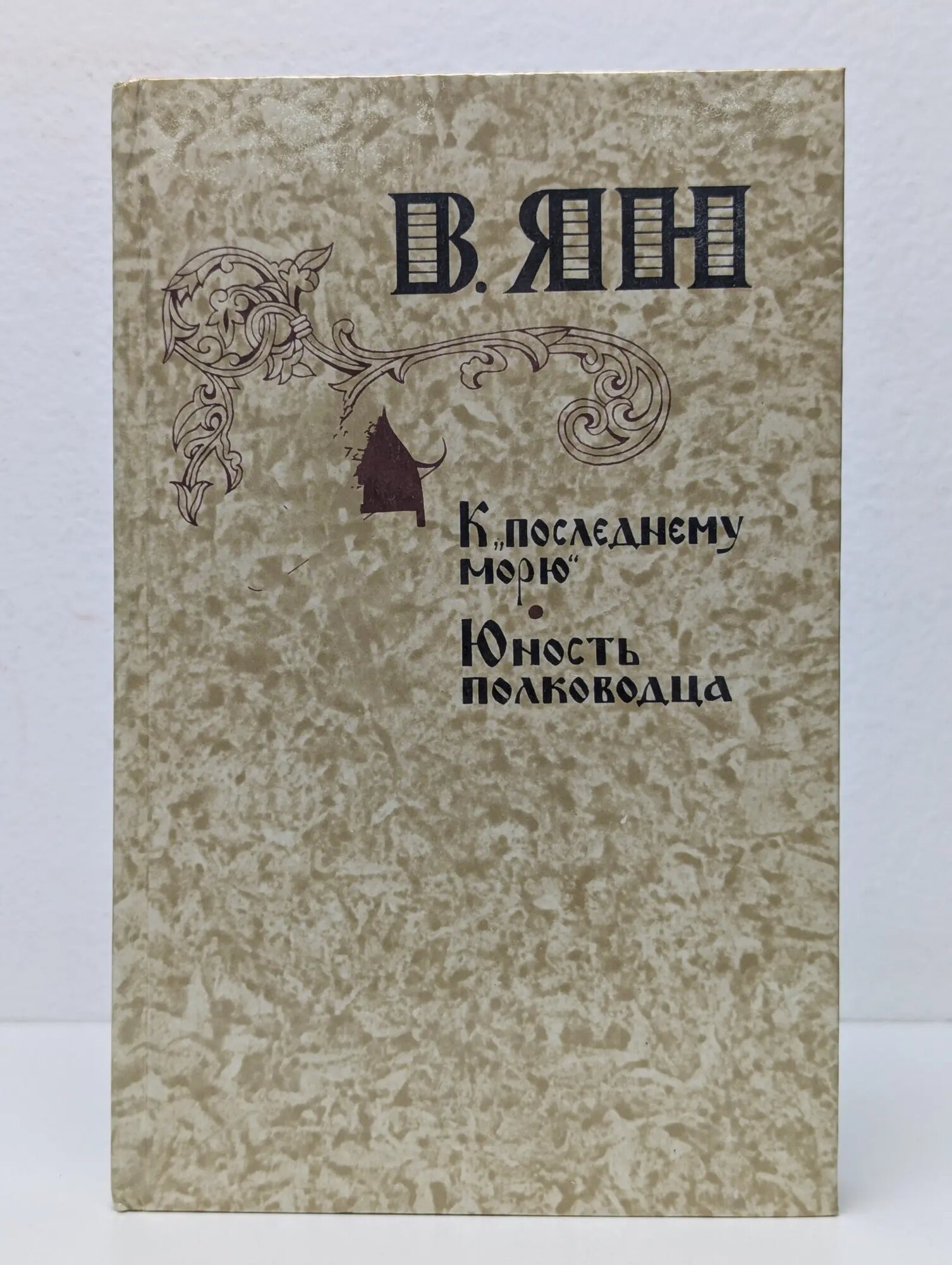 К "последнему морю". Юность полководца Василий Ян Григорьевич 1981