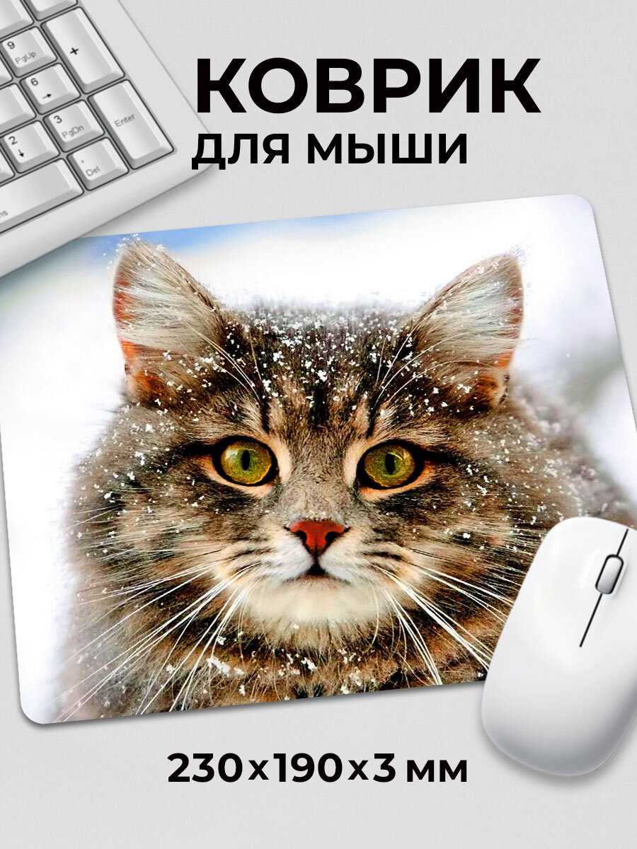 Коврик для мышки игровой Кот на снегу Котик