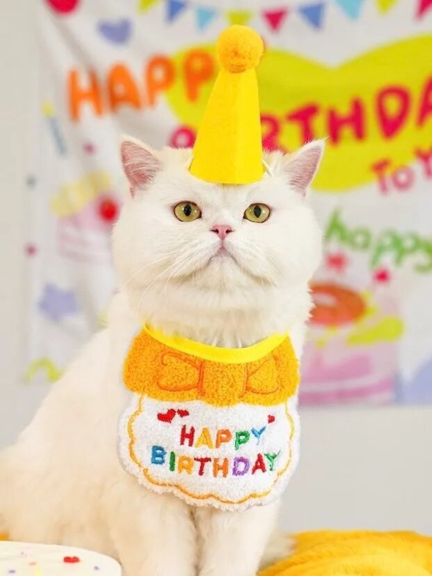 Ошейник и колпак праздничный костюм на День Рождения кота и собаки