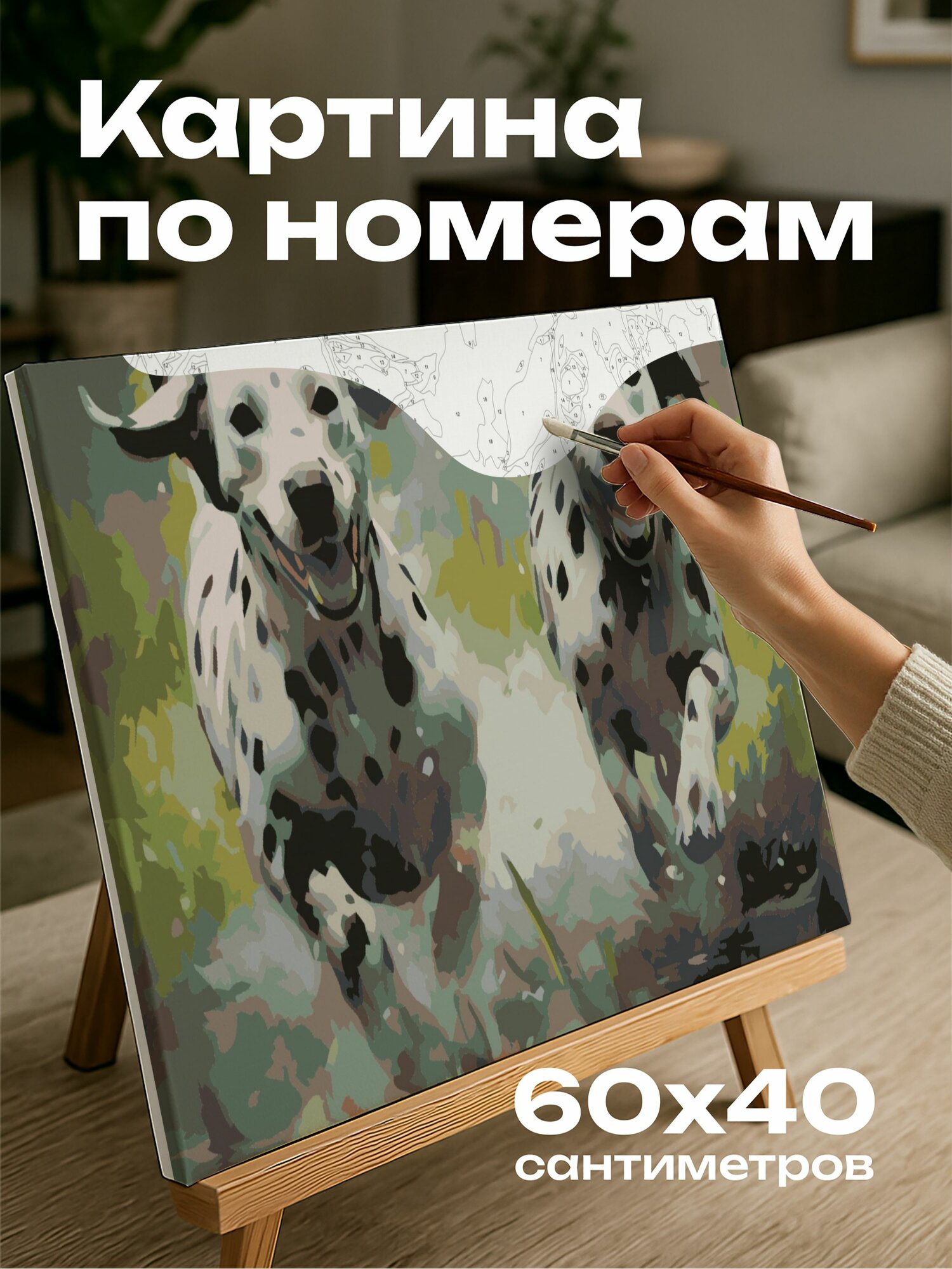 Картина по номерам 60x40 см, два далматинца, яркий луг, пропитанный дождем, черные и белые пятна, сочная зеленая трава