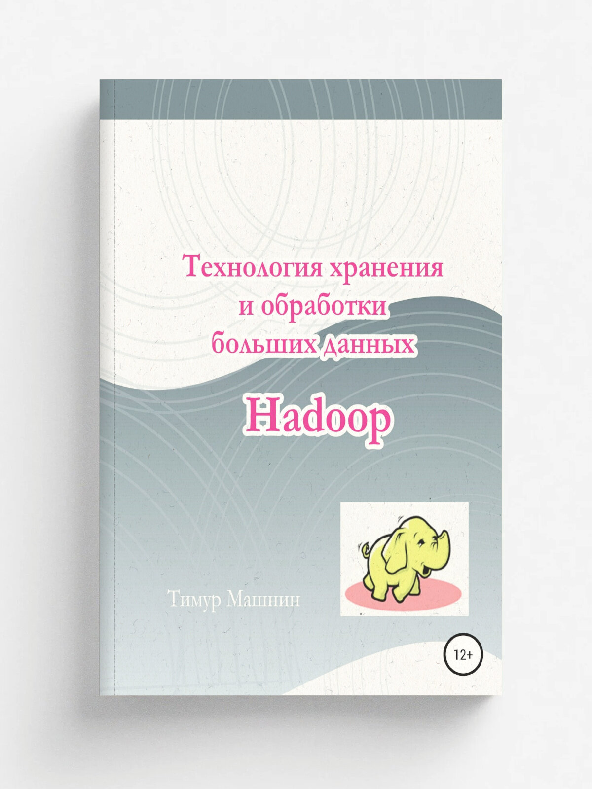 Технология хранения и обработки больших данных Hadoop