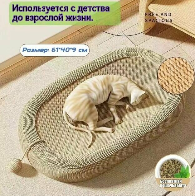 Cat Scratching Post wave