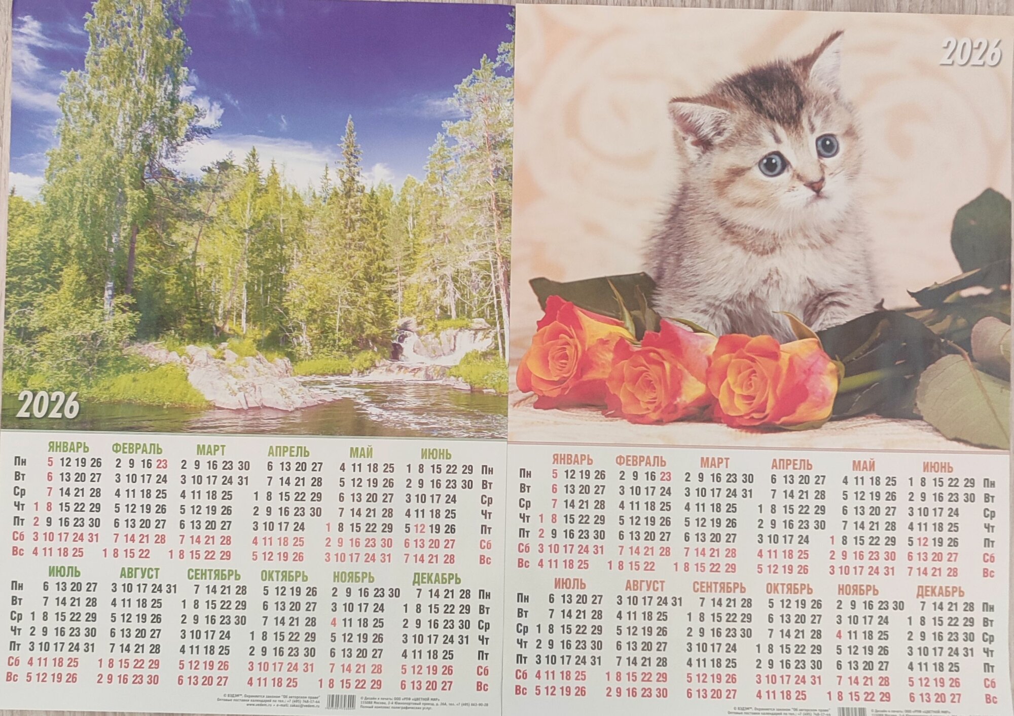 Набор календарей на 2026 год (2 шт). Природа+котенок