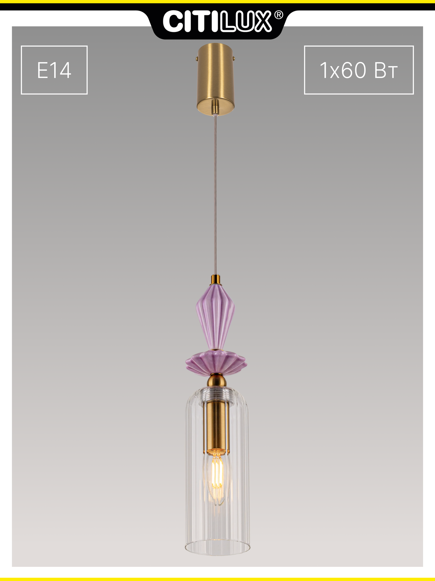 Подвесной дизайнерский светильник Citilux FERNET CL254010, Е14 1*60Вт