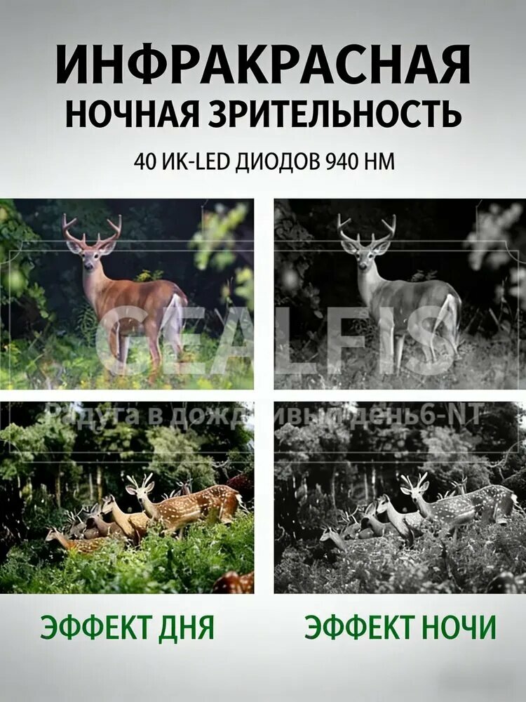 Фотоловушка — фото 1