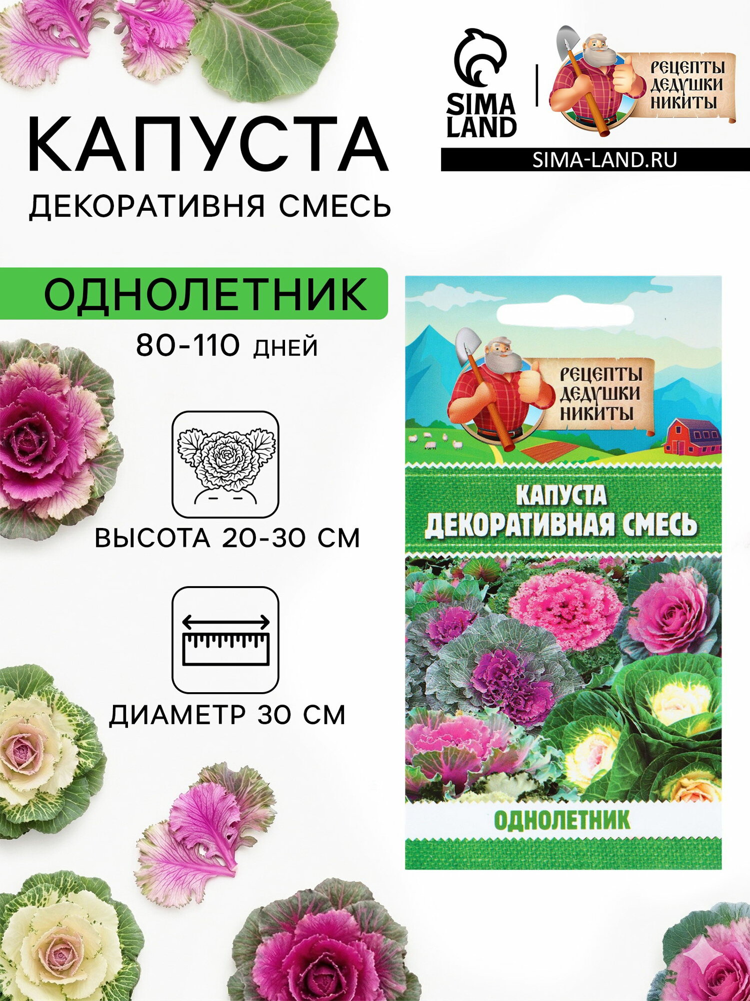 Семена цветов Капуста Декоративная, 0.05 г, цветение период: август, 2 шт.