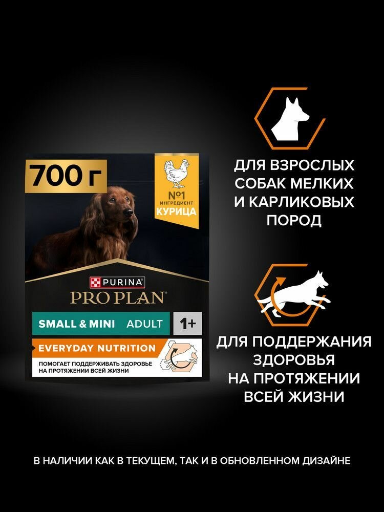 Сухой корм PRO PLAN Everyday Nutrition для взрослых собак мелких и карликовых пород, с курицей, 700 г