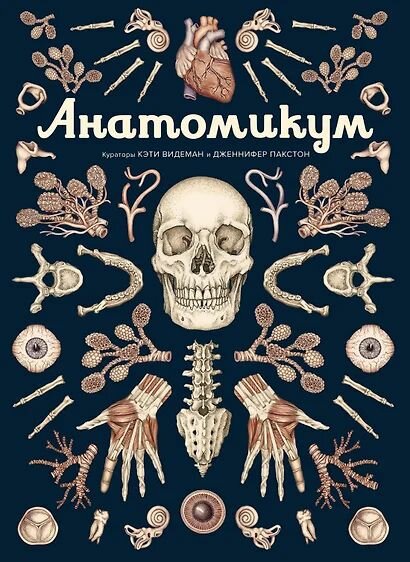 Пакстон Дженнифер, Видеман Кэти: Анатомикум