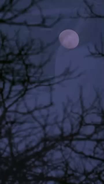 Поместье Лейкседж — фото 1