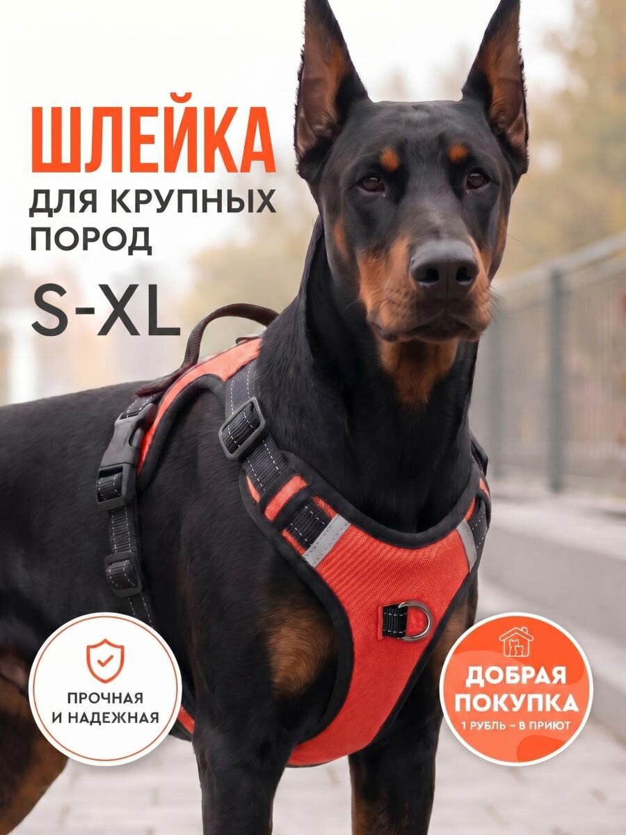 Шлейка для собак крупных пород MiloPets, XL
