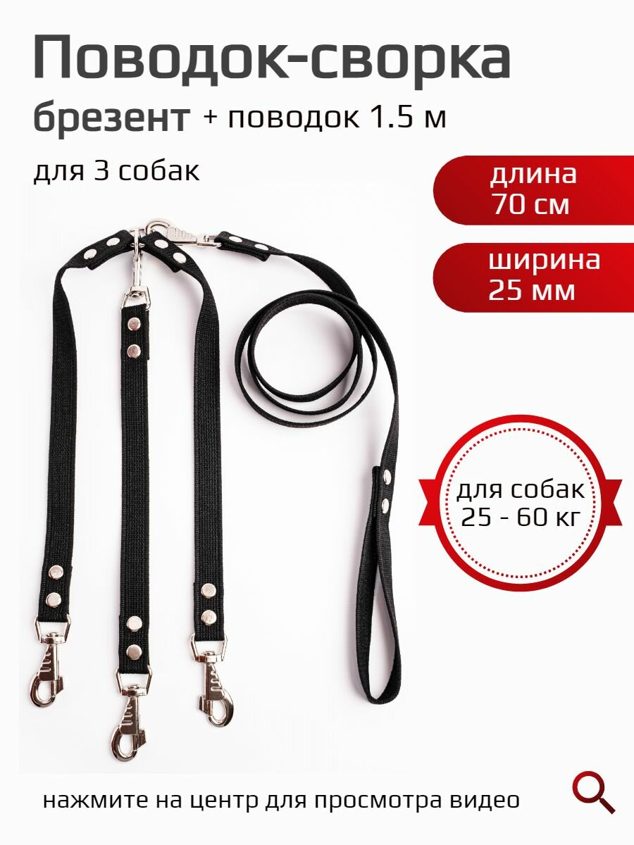 Сворка Хвостатыч для трёх собак брезент 70 см х 25 мм с поводком 1.5 м (черный)