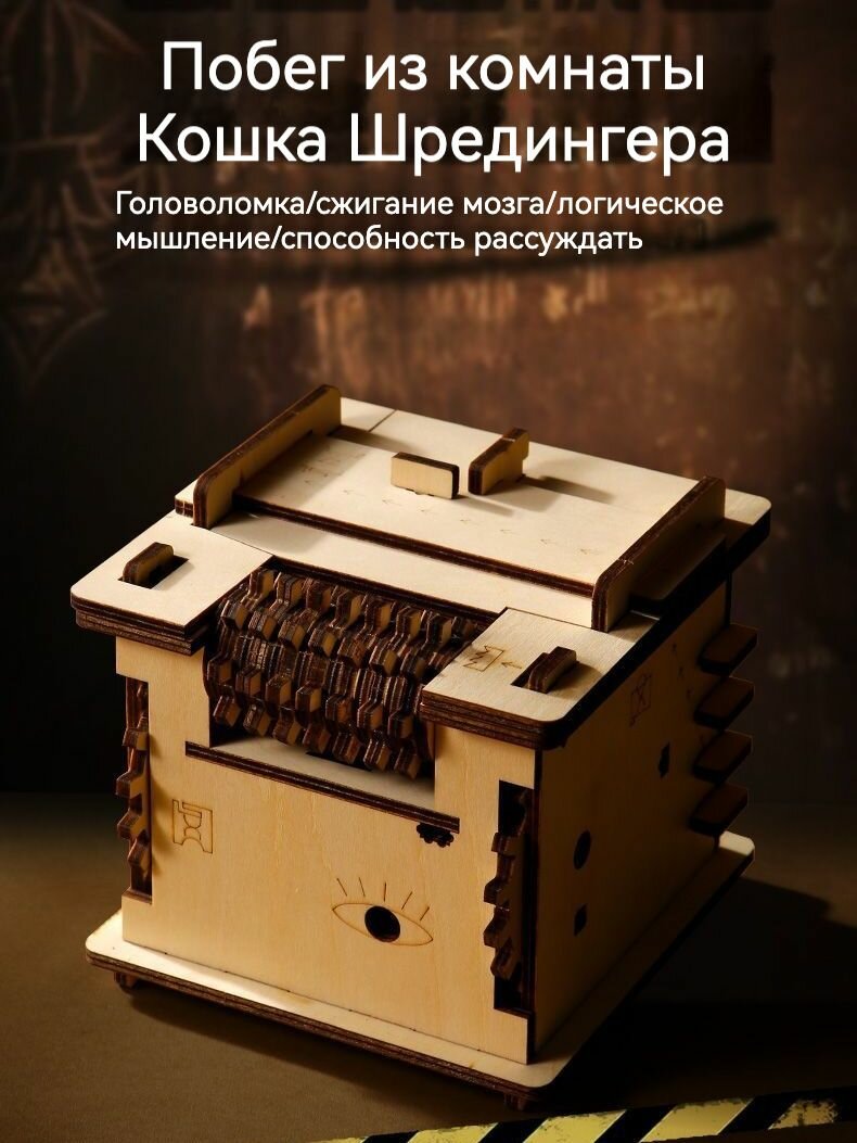 Головоломка для детей и взрослых / деревянный "Квест бокс: Кот Шредингера