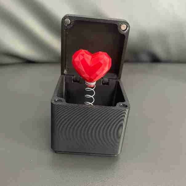 Gift box middle finger surprise 3d printed plastic creative keepsake box heart