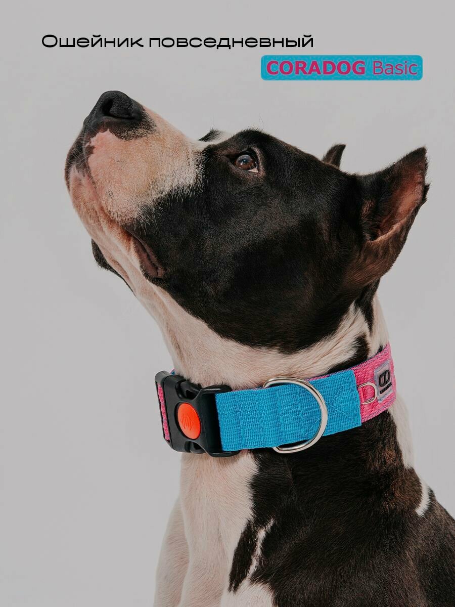 Ошейник широкий повседневный, CORADOG Basic, для средних и крупных собак, голубой ярко розовый, размер M-4 38-54 см