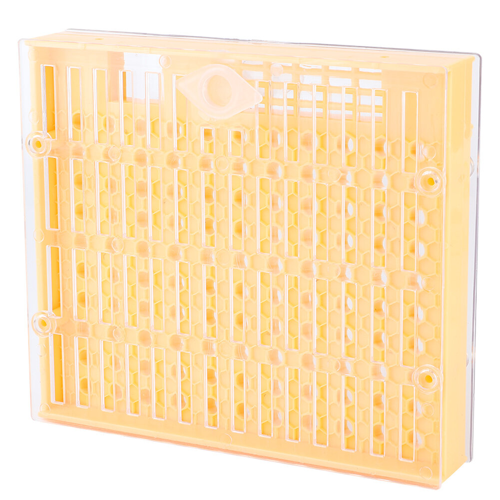 Пластиковые чашки для пчелиных ячеек Система выращивания маток Ящик для выращивания маток Клетка для маток Инструменты для пчеловодства Оборудование